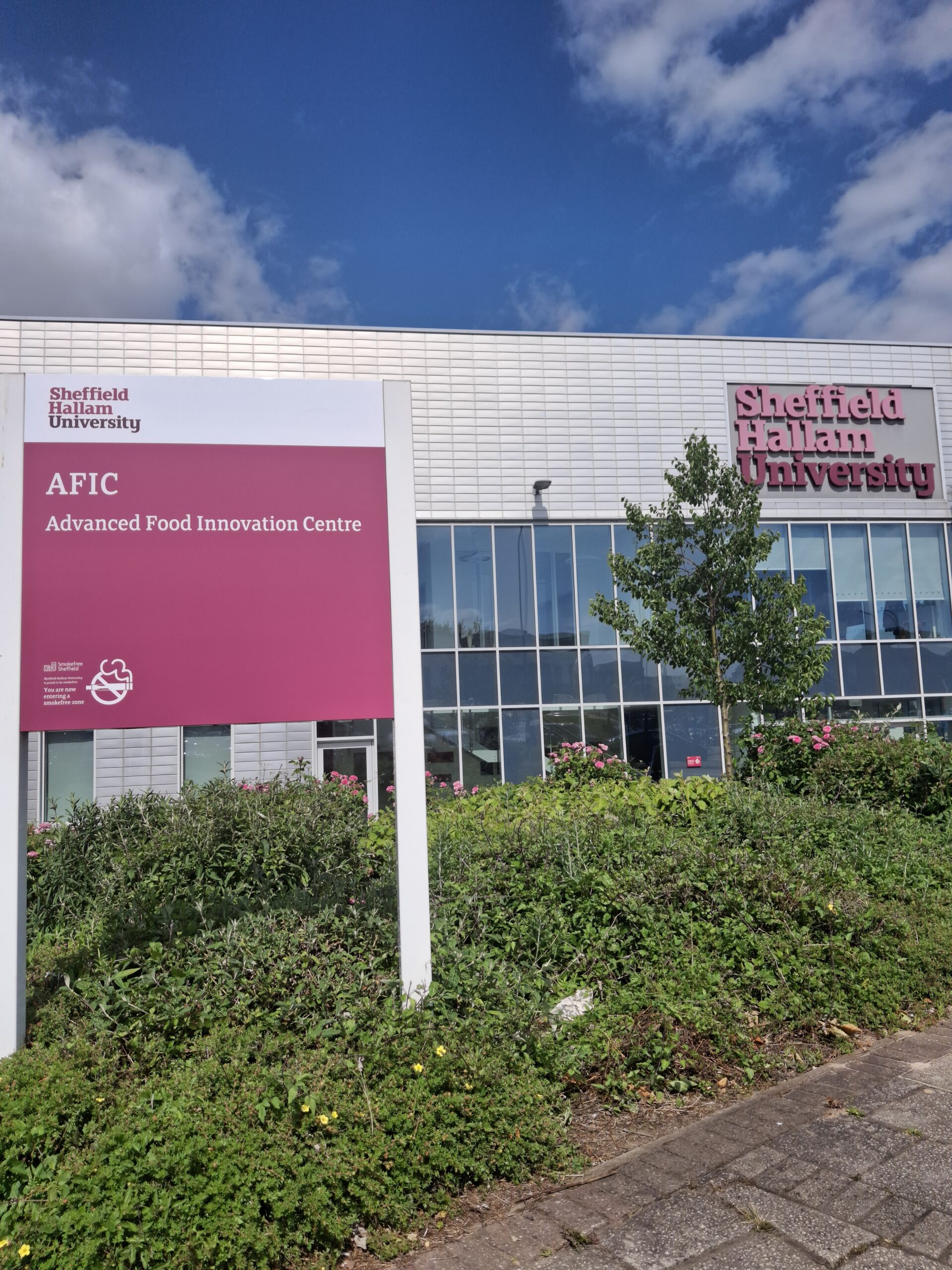 AFIC Special Interest Group on AI and digitalisation - 27.11.2025 ...